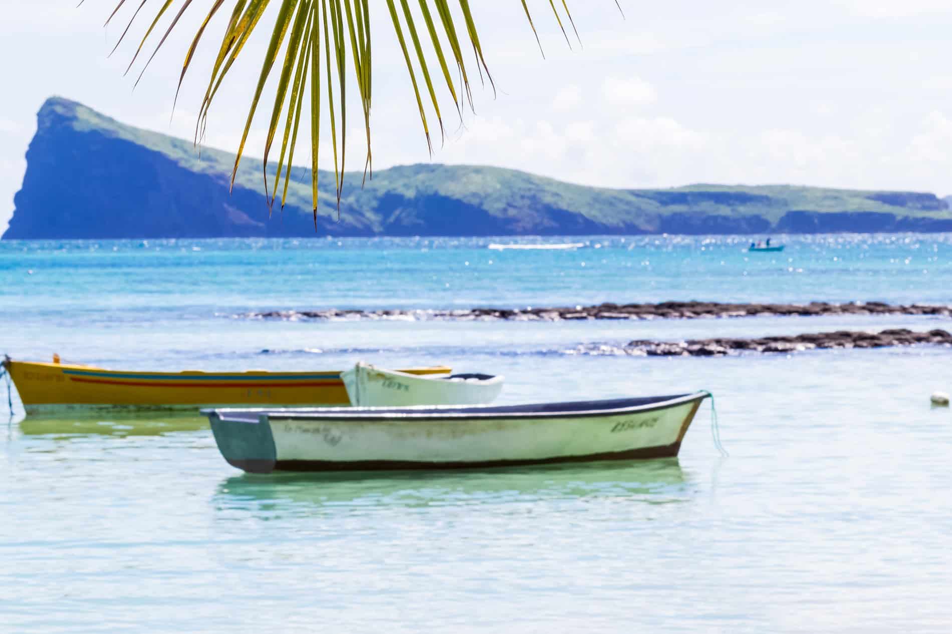 The Vanilla Islands of the Indian Ocean | A partnership with regional ...