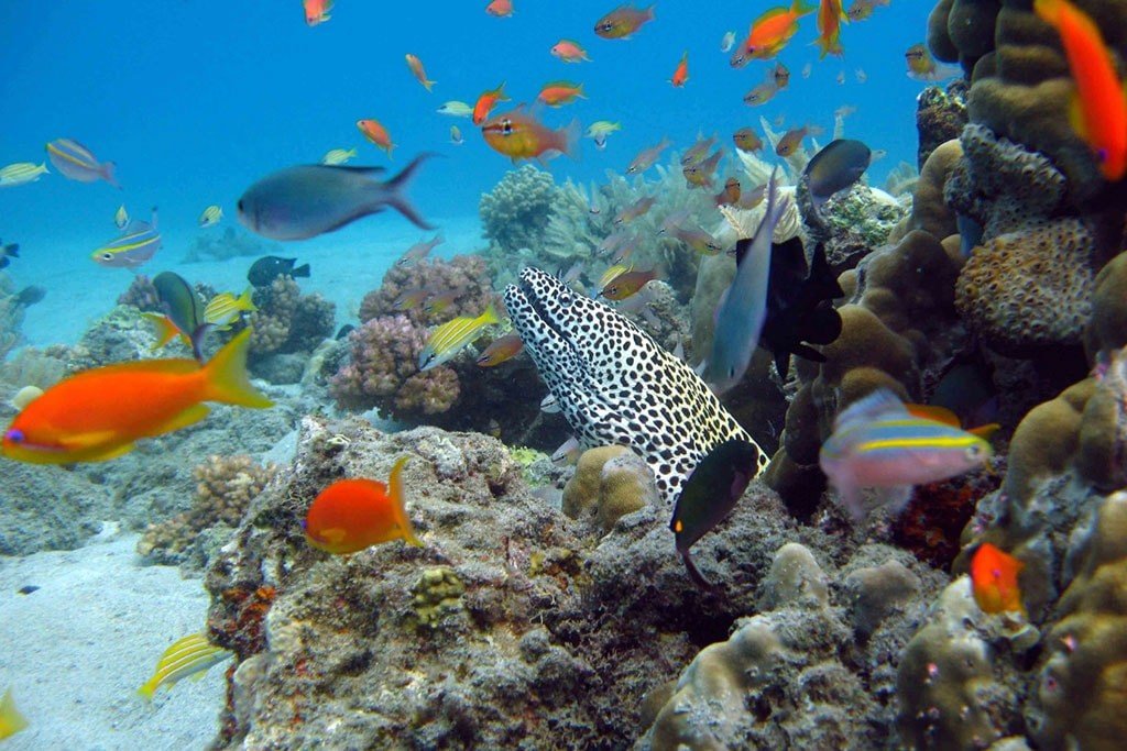 The Comoros in the heart of the indian ocean islands