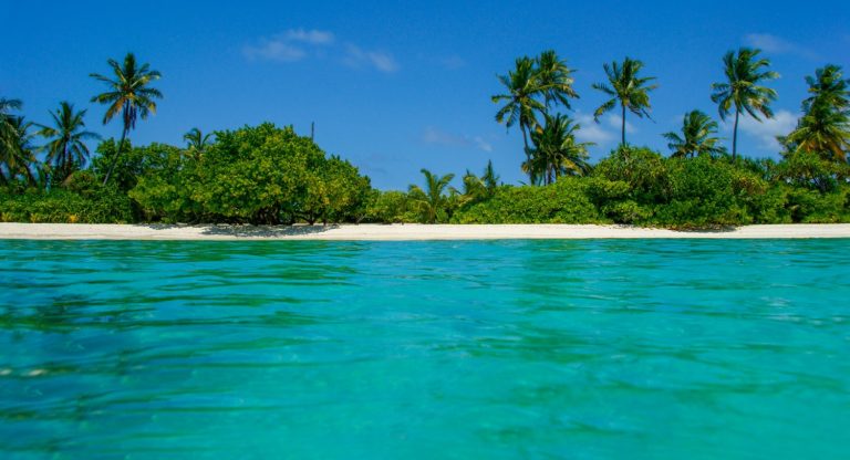 The Vanilla Islands of the Indian Ocean | Legal Notice