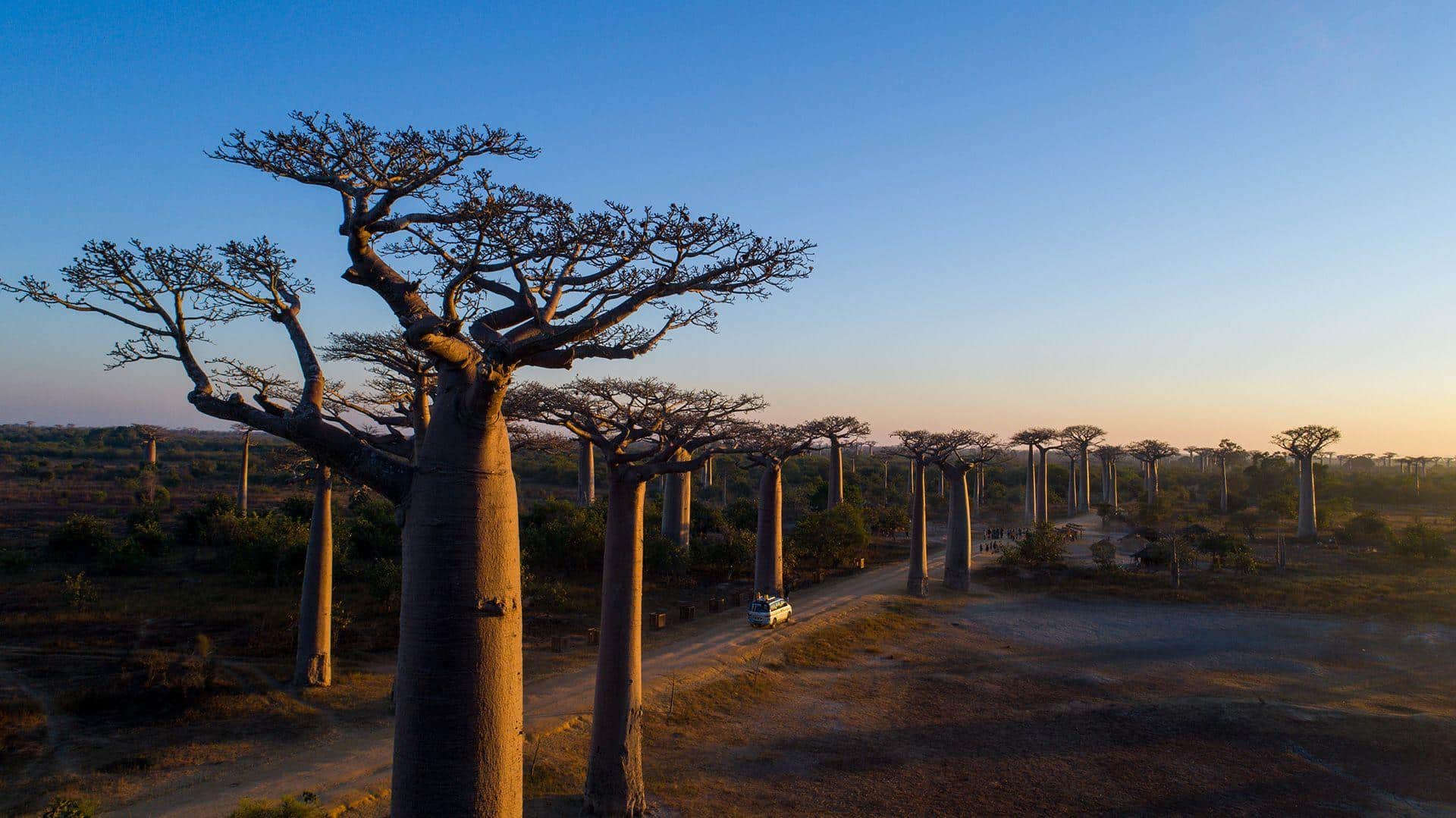 The indian ocean Vanilla Islands Destination of your holidays