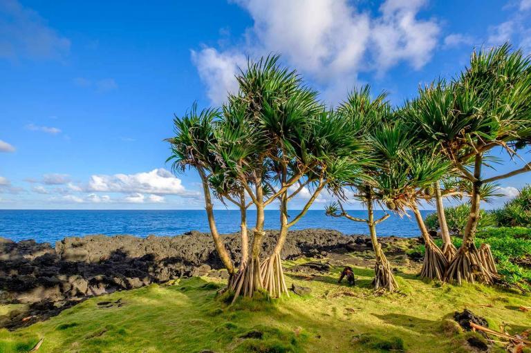 Mayotte, département français situé dans l'océan indien