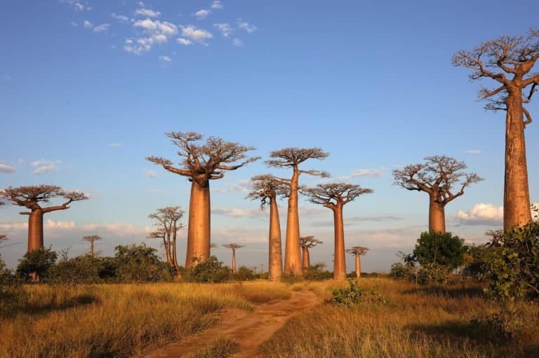 Vanilla Islands – Tourism in the Indian Ocean islands