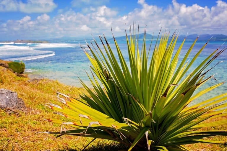Vanilla Islands – Tourism in the Indian Ocean islands