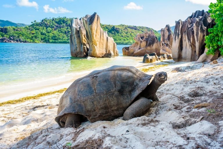 Vanilla Islands – Tourism in the Indian Ocean islands